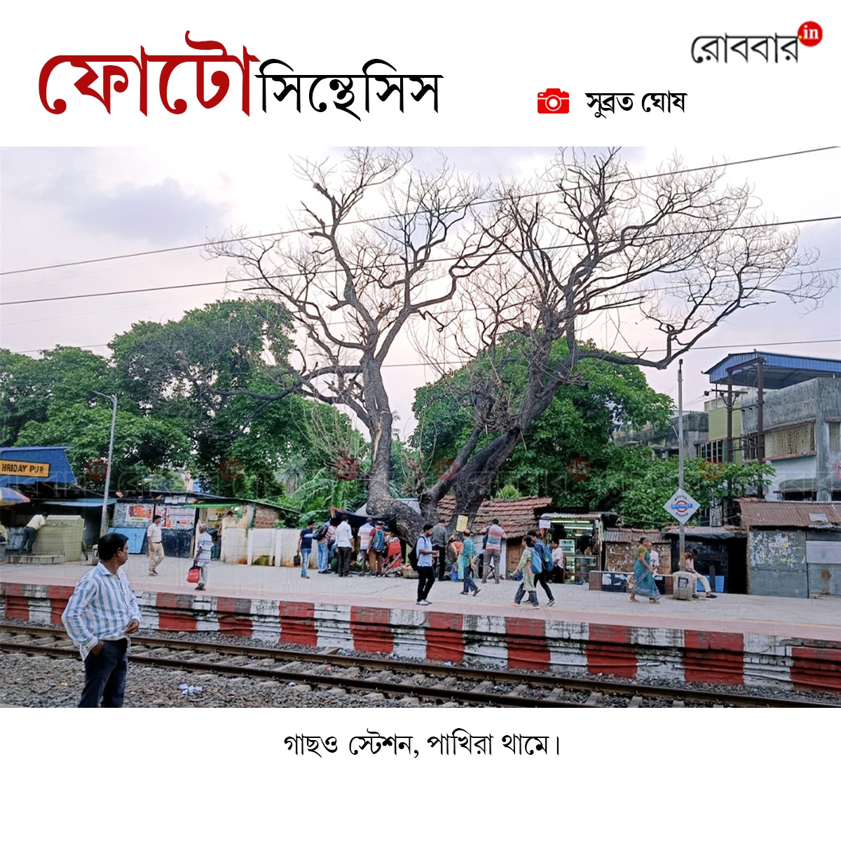 Robbar | Sangbad Pratidin