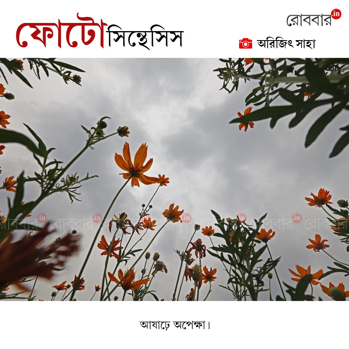 Robbar | Sangbad Pratidin
