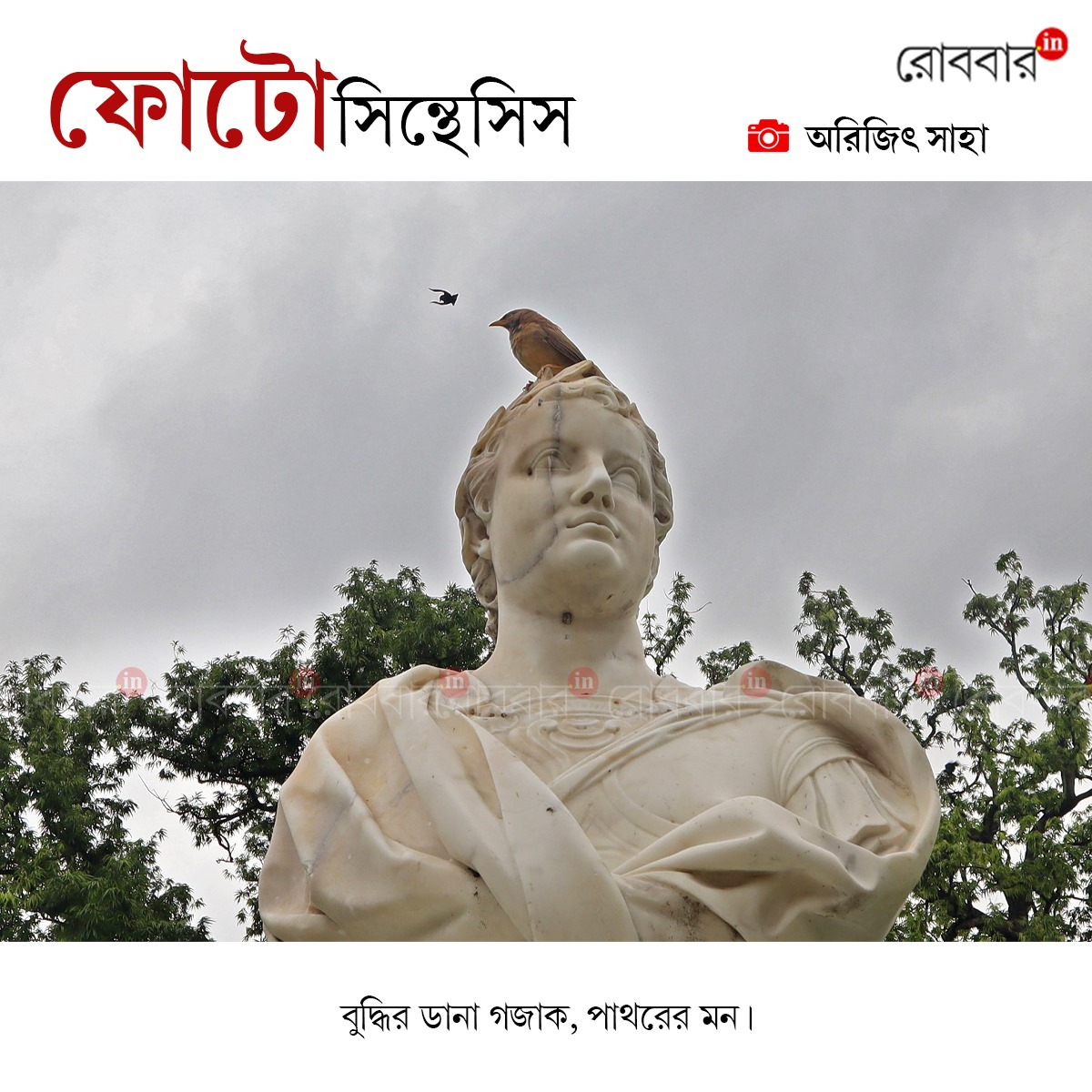 Robbar | Sangbad Pratidin