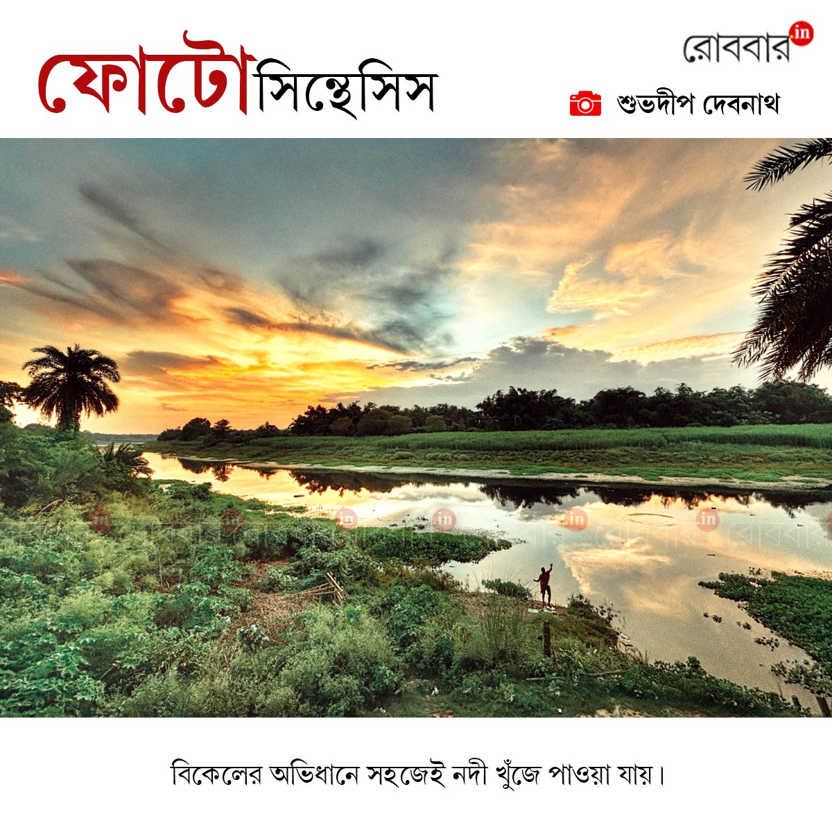 ফোটোসিন্থেসিস - Robbar | Sangbad Pratidin