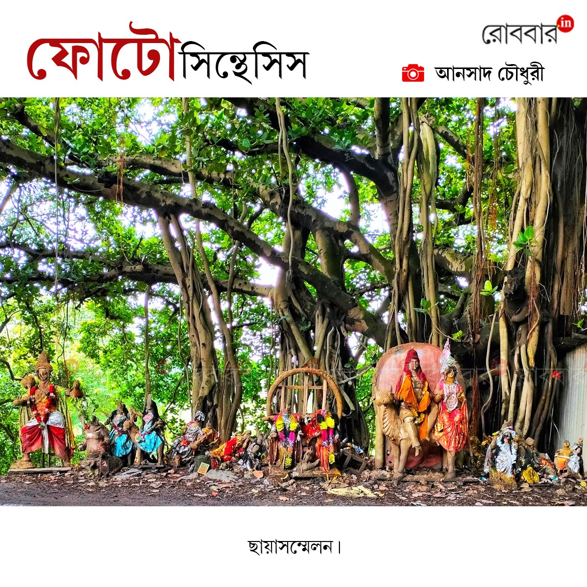 ফোটোসিন্থেসিস - Robbar | Sangbad Pratidin