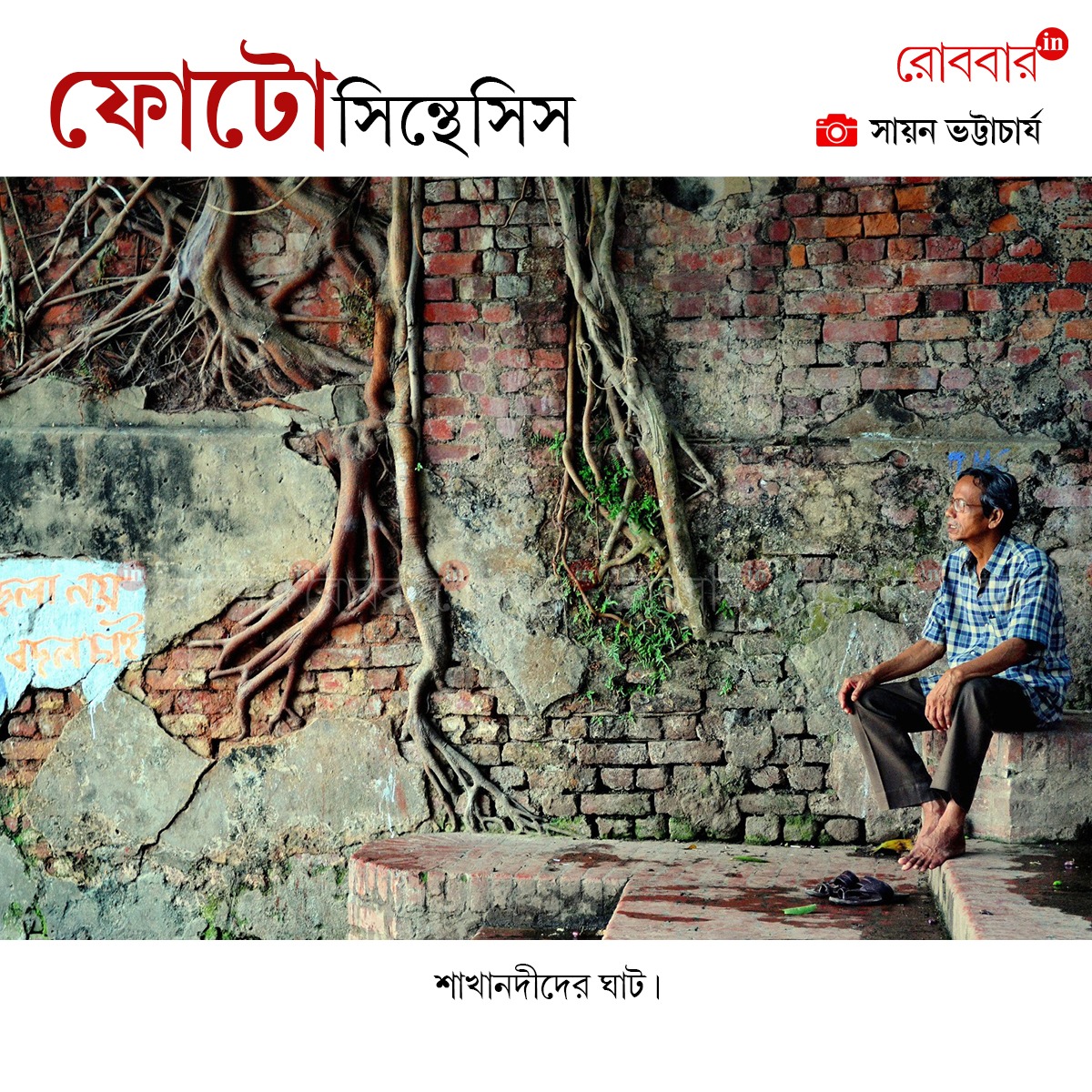 ফোটোসিন্থেসিস-750 - Robbar | Sangbad Pratidin
