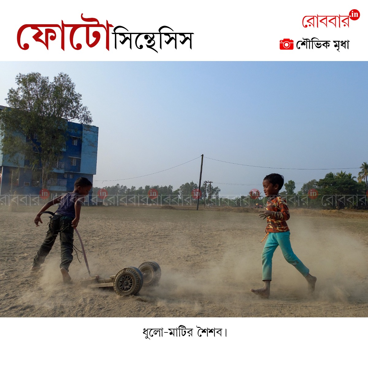 ফোটোসিন্থেসিস - Robbar | Sangbad Pratidin