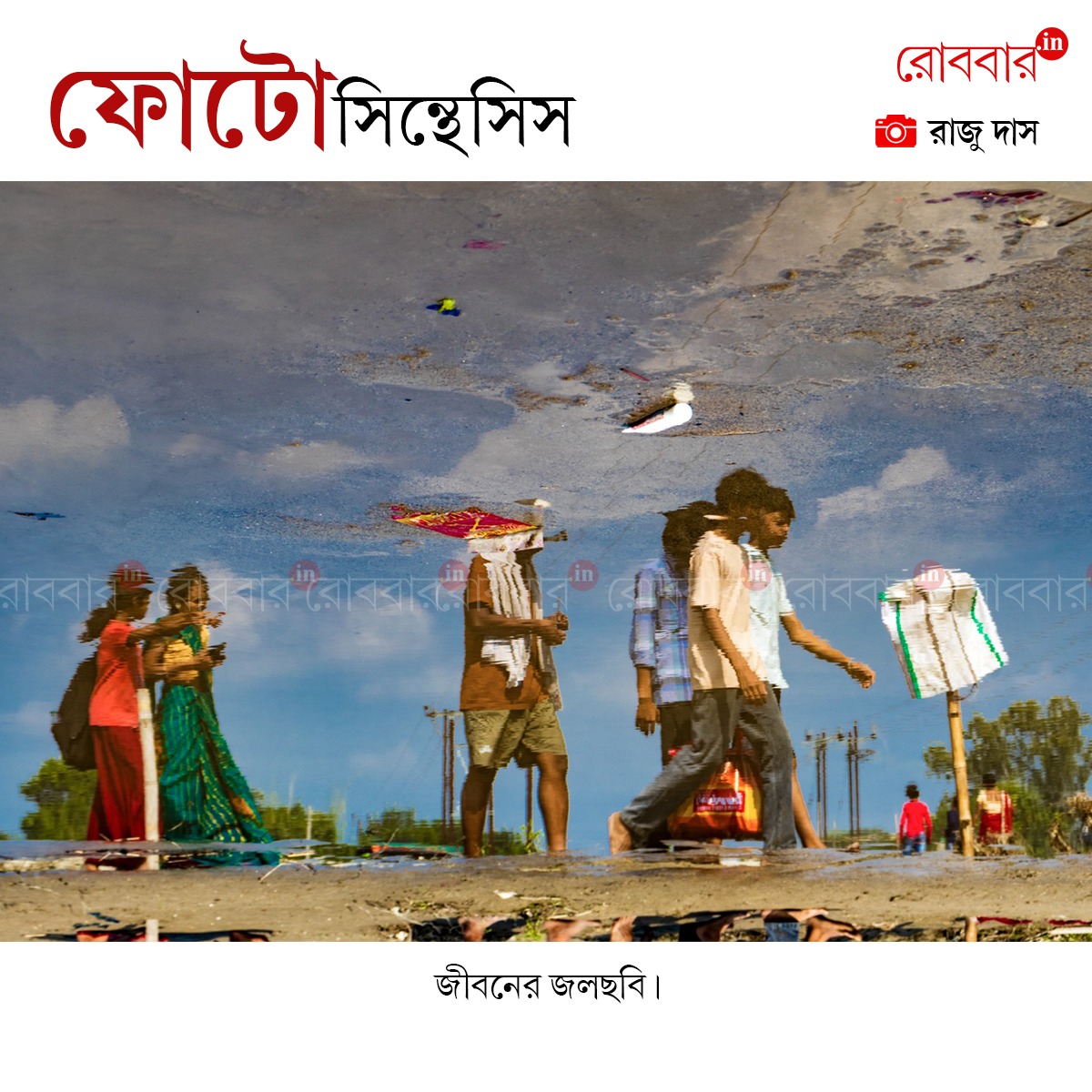 ফোটোসিন্থেসিস - Robbar | Sangbad Pratidin