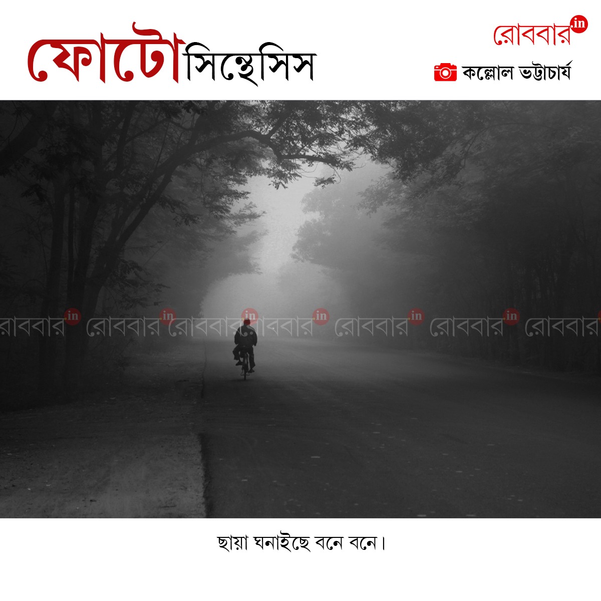 ফোটোসিন্থেসিস - Robbar | Sangbad Pratidin