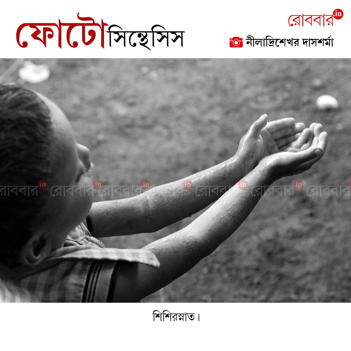 ফোটোসিন্থেসিস - Robbar | Sangbad Pratidin